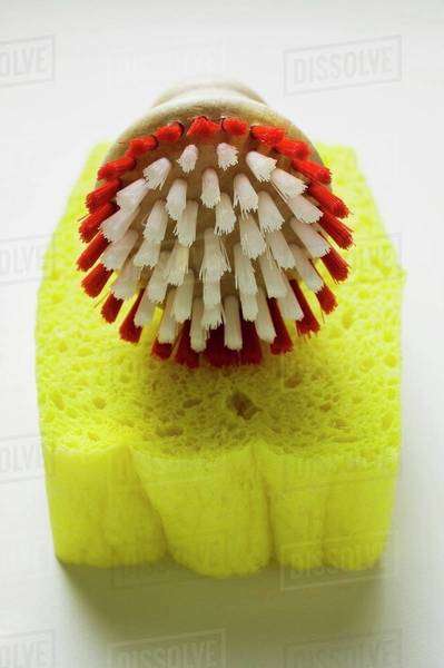 Sponge and brush - Royalty-free Stock Photo | Dissolve