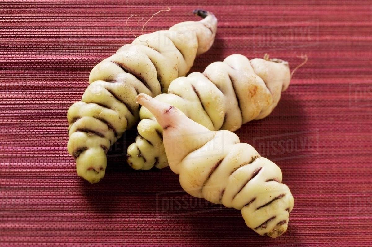 Three oca tubers (Oxalis tuberosa) - Royalty-free Stock Photo | Dissolve