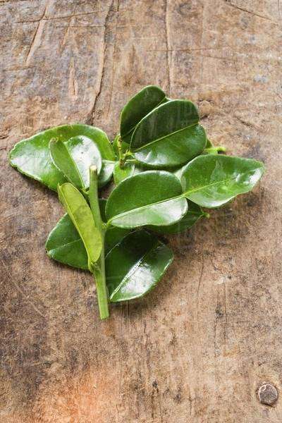 Fresh lemon leaves - Stock Photo - Dissolve