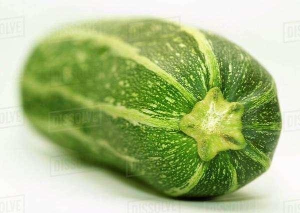 A vegetable marrow - Royalty-free Stock Photo | Dissolve