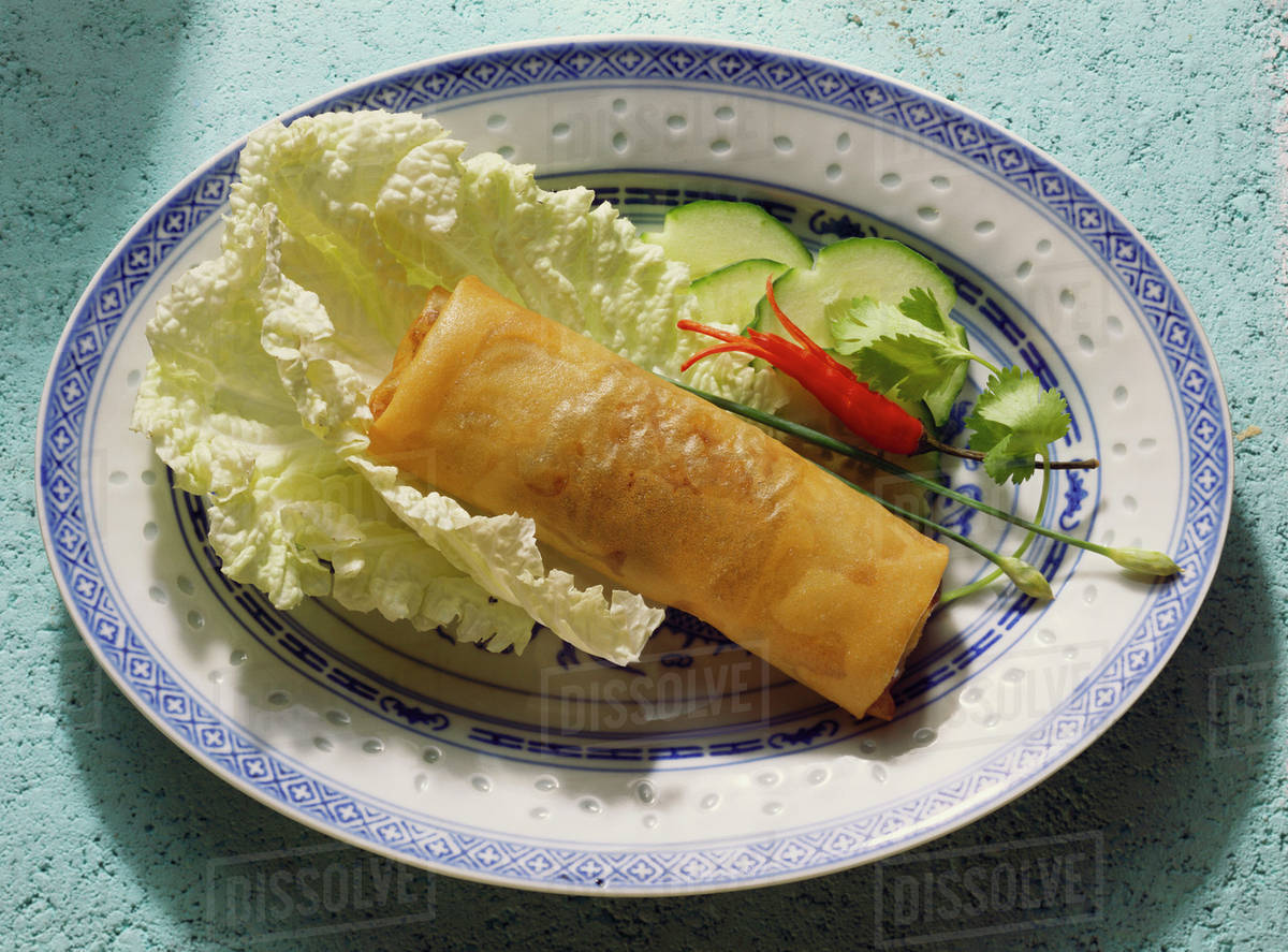 Chinese spring roll - Stock Photo - Dissolve