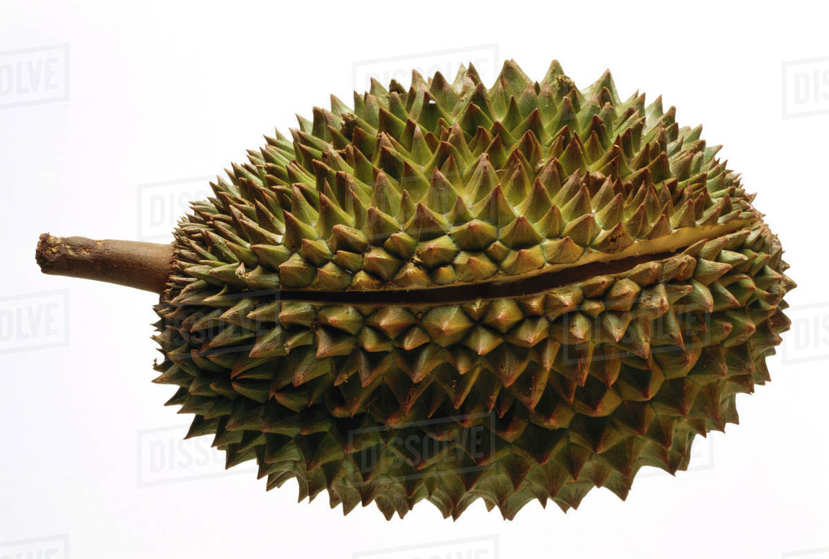 A Single Durian - Stock Photo - Dissolve