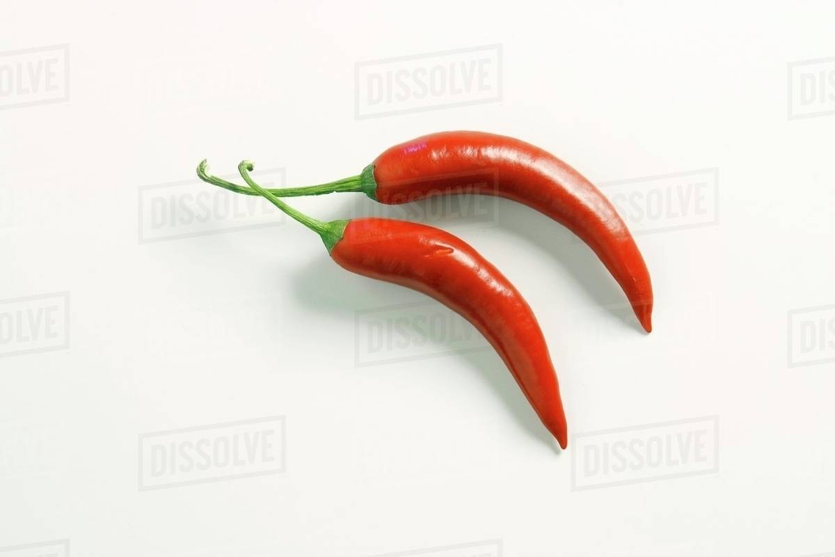 Two chillies on white background - Stock Photo - Dissolve
