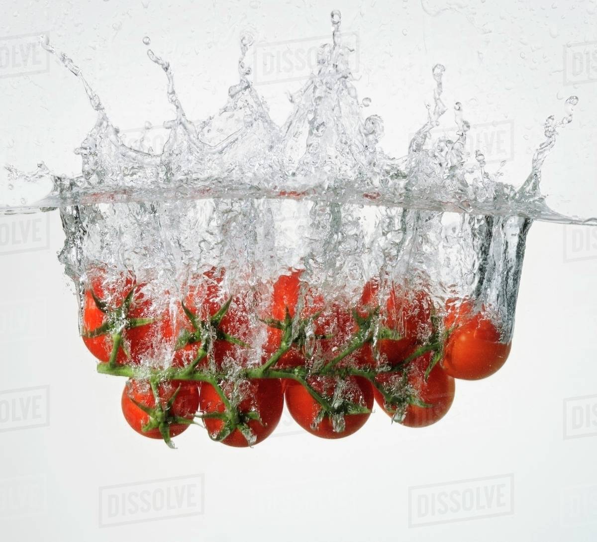 Vine tomatoes falling into water - Royalty-free Stock Photo | Dissolve