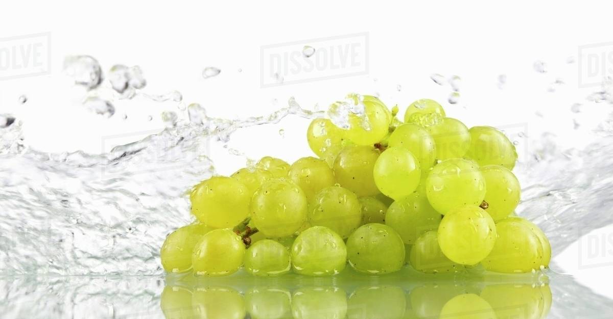 Green grapes being washed - Royalty-free Stock Photo | Dissolve