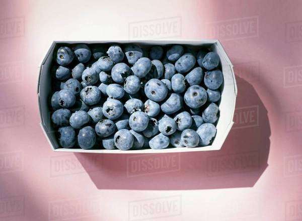 Blueberries in a cardboard punnet - Royalty-free Stock Photo | Dissolve