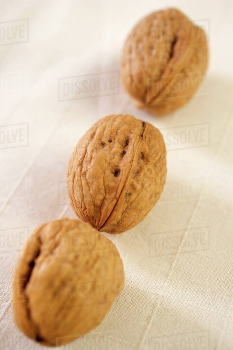Three Walnuts - Royalty-free Stock Photo | Dissolve