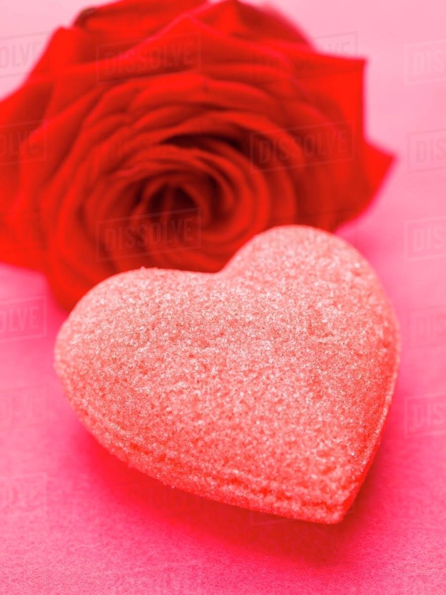 Sugar heart and red rose - Royalty-free Stock Photo | Dissolve