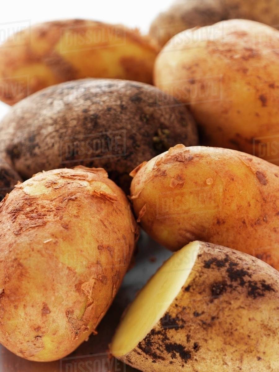 Several potatoes - Royalty-free Stock Photo | Dissolve