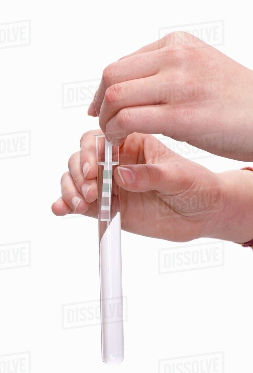 Hands holding litmus paper in test-tube - Stock Photo - Dissolve