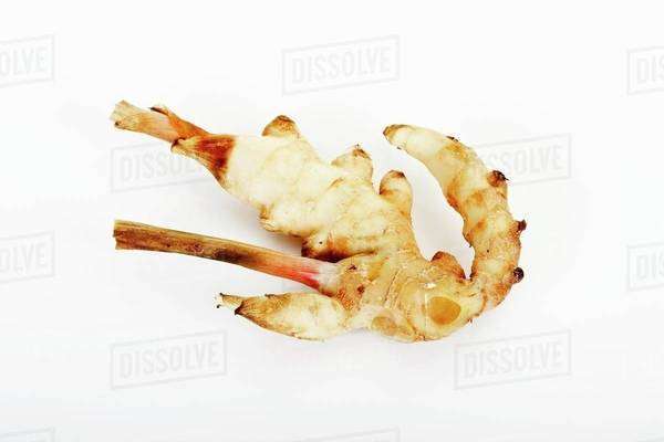Hawaiian ginger root - Royalty-free Stock Photo | Dissolve