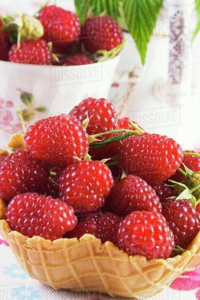 Raspberries in wafer basket - Stock Photo - Dissolve