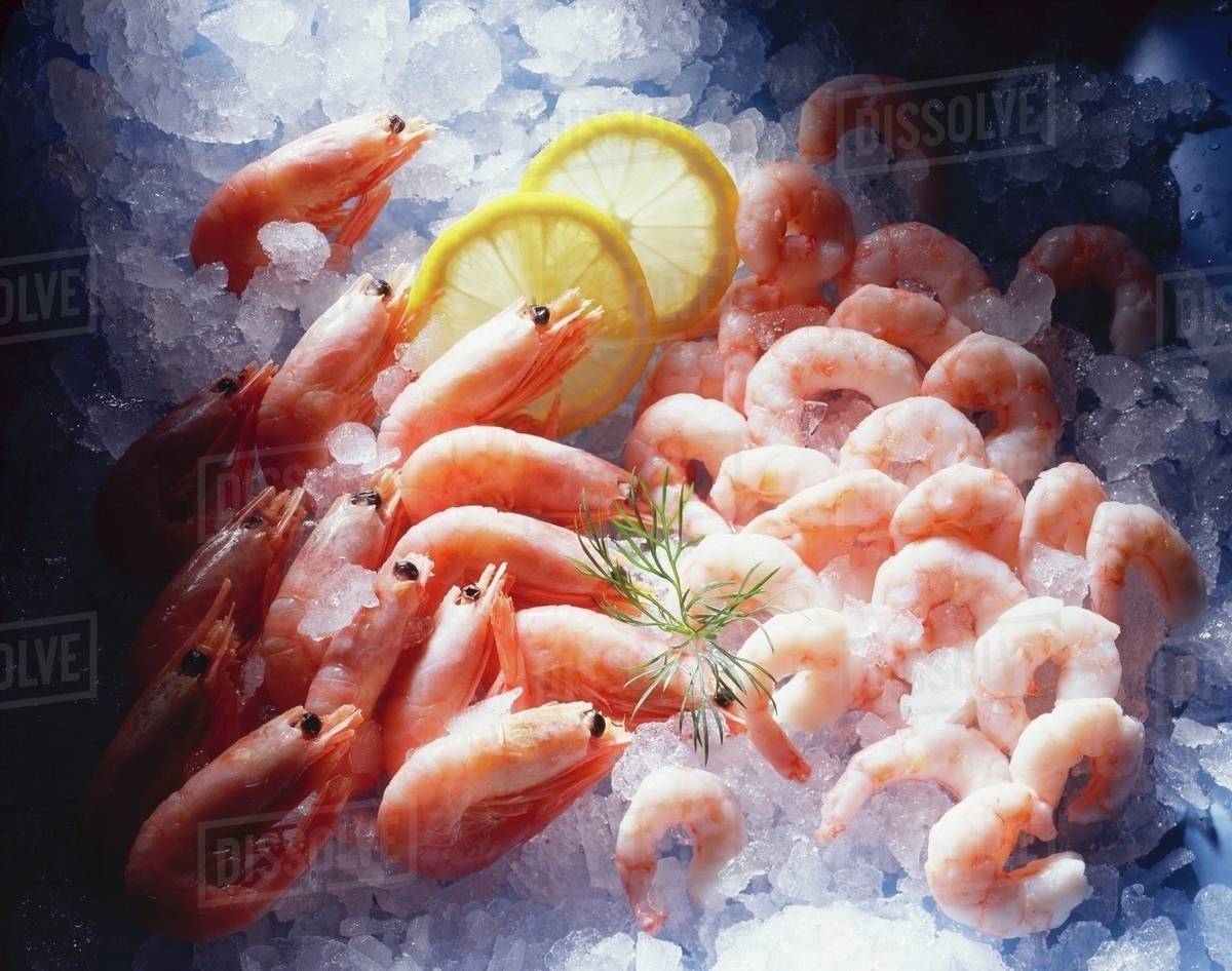 Prawns, peeled and unpeeled, on ice - Royalty-free Stock Photo | Dissolve