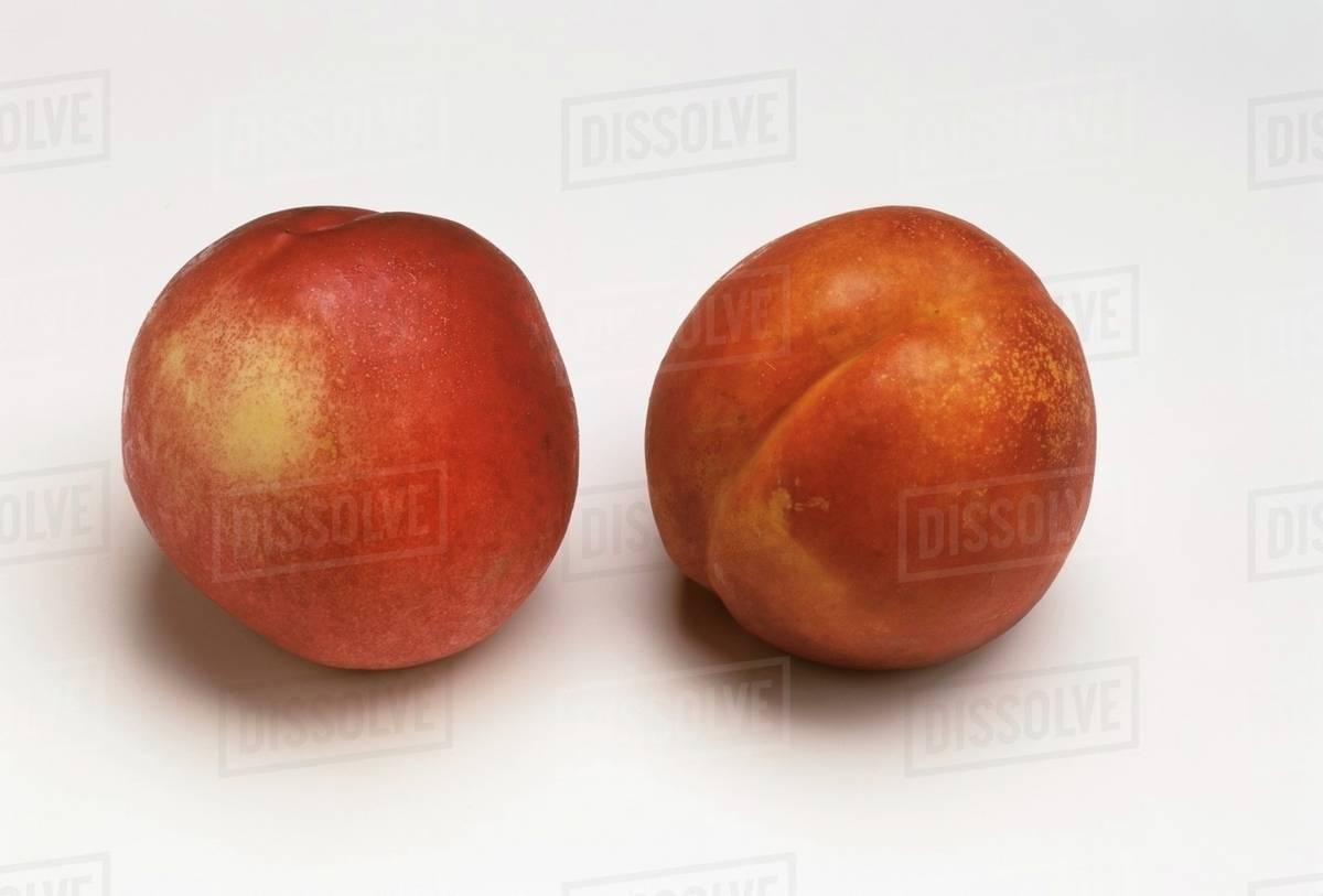 Two nectarines - Royalty-free Stock Photo | Dissolve