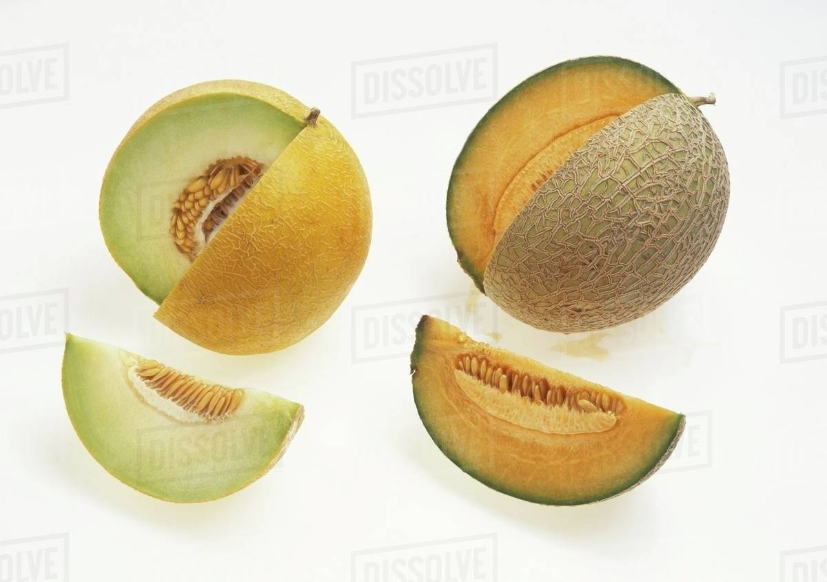 Two melons, each with a wedge removed - Royalty-free Stock Photo | Dissolve