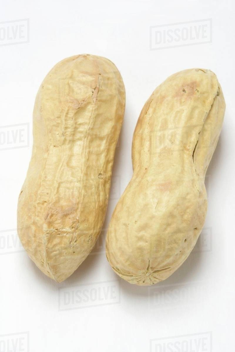 Two unshelled peanuts - Royalty-free Stock Photo | Dissolve