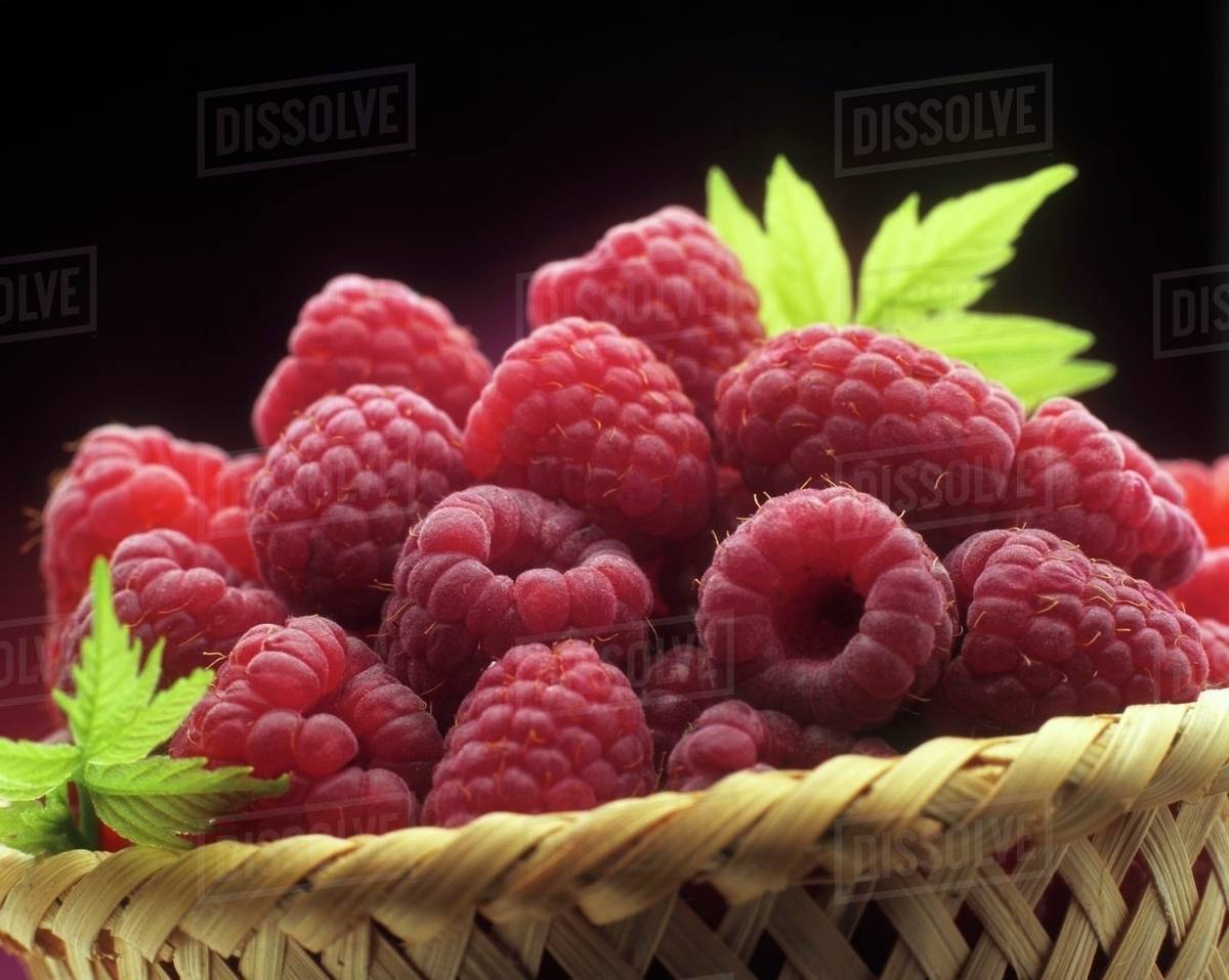 Small basket of fresh raspberries - Royalty-free Stock Photo | Dissolve