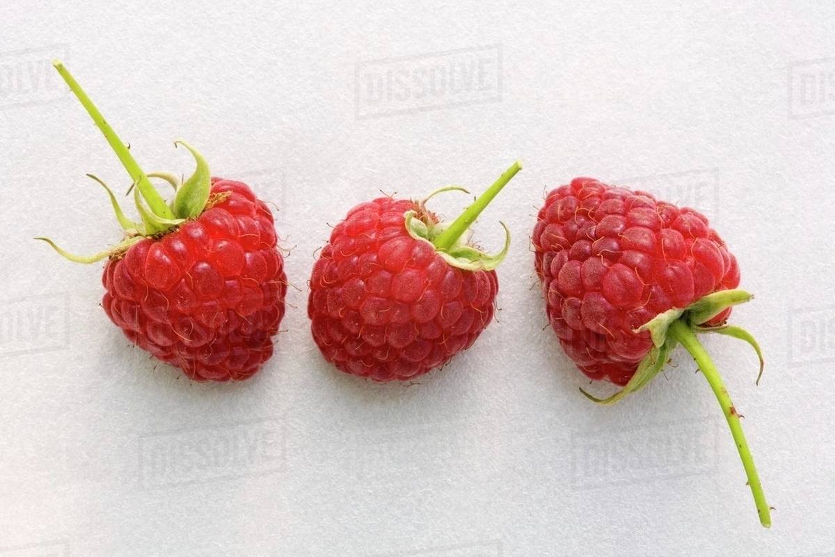 Three raspberries - Royalty-free Stock Photo | Dissolve