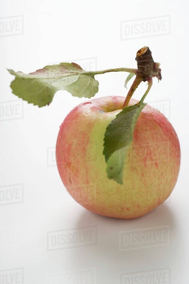 Red apple with stalk and leaves - Stock Photo - Dissolve