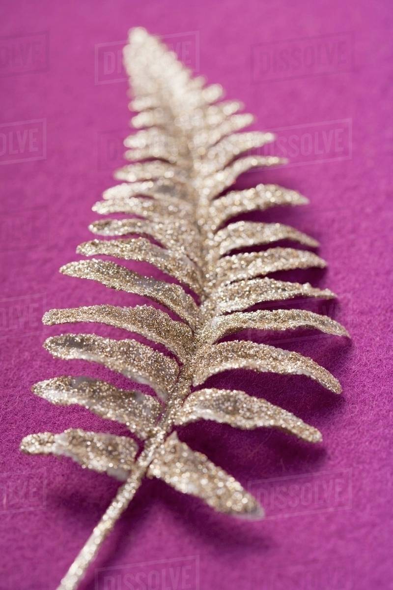 Silver fern (Christmas decoration) - Royalty-free Stock Photo | Dissolve