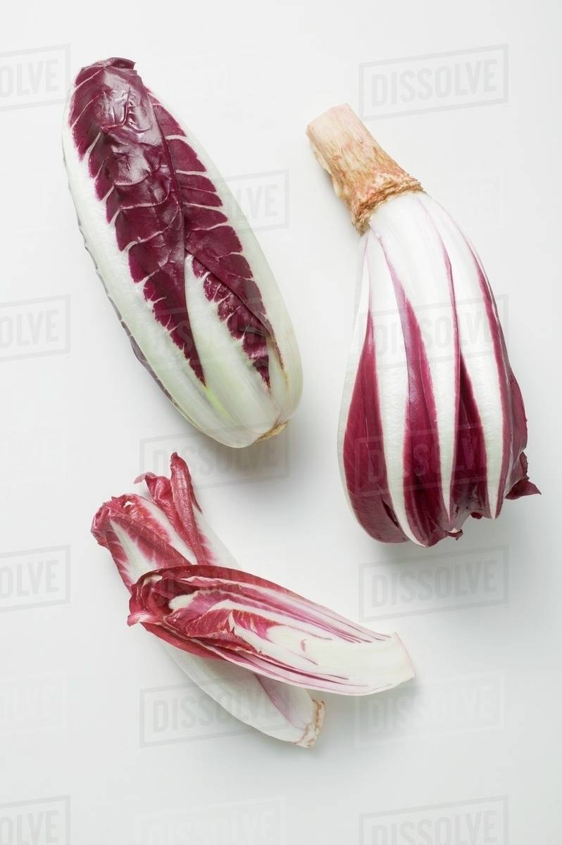 Various types of radicchio - Stock Photo - Dissolve