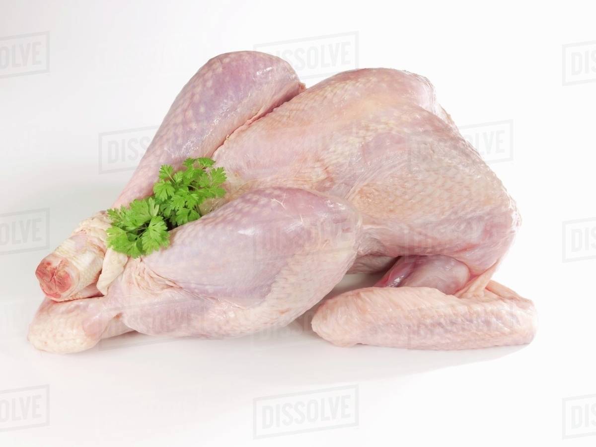Fresh turkey, ready to cook - Stock Photo - Dissolve