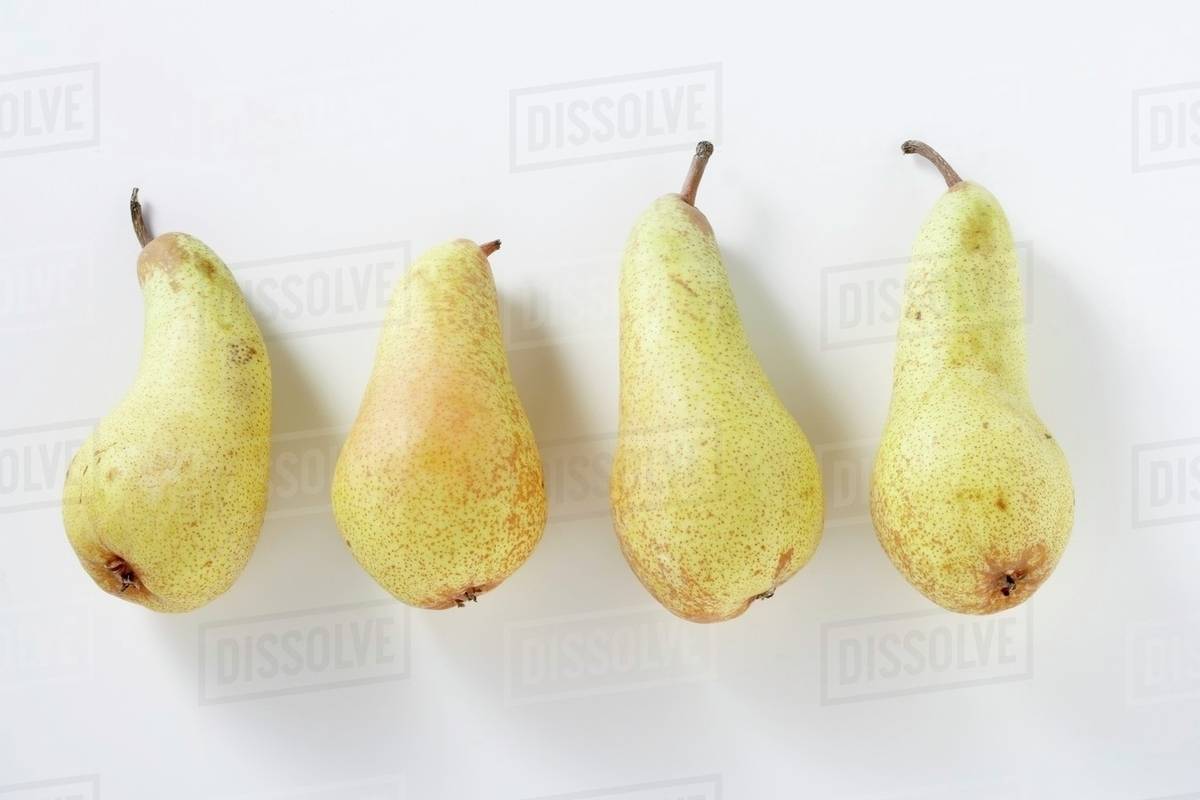 Four pears - Stock Photo - Dissolve