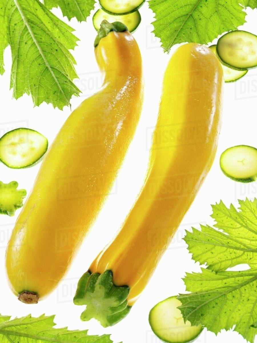 Yellow courgettes, courgette slices and leaves - Royalty-free Stock ...