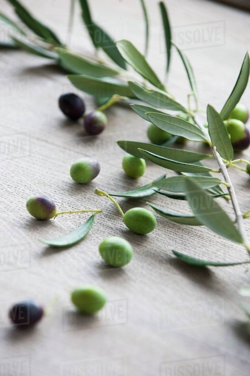 Fresh olives with an olive sprig - Royalty-free Stock Photo | Dissolve