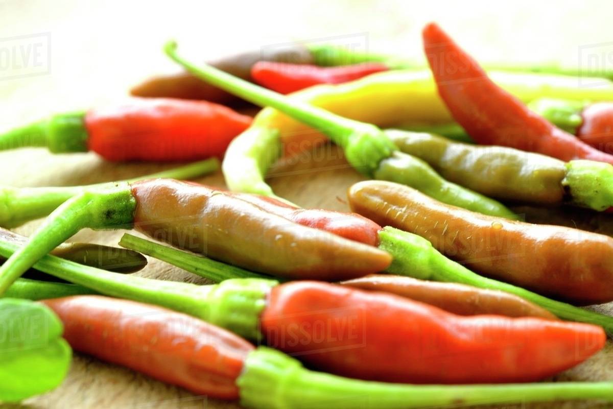 Fresh whole chillies from Thailand - Royalty-free Stock Photo | Dissolve