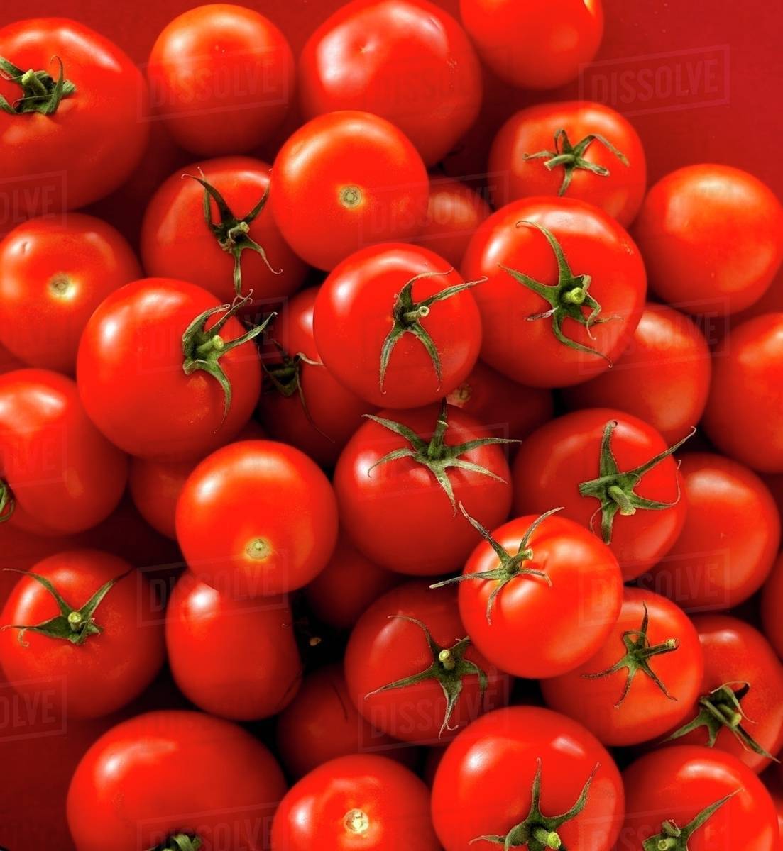 Tomatoes seen from above - Royalty-free Stock Photo | Dissolve