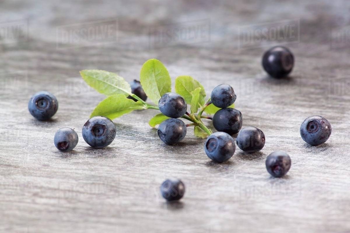 Fresh blueberries on a wooden surface - Royalty-free Stock Photo | Dissolve