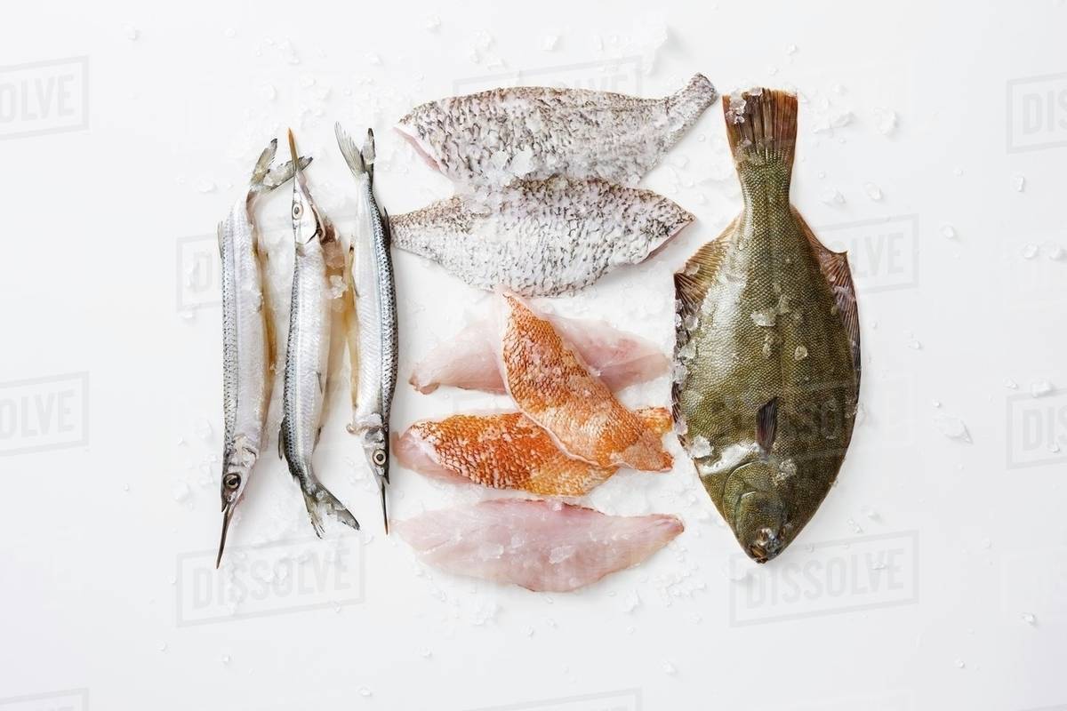 Various types of fish and fish fillets for grilling - Royalty-free ...