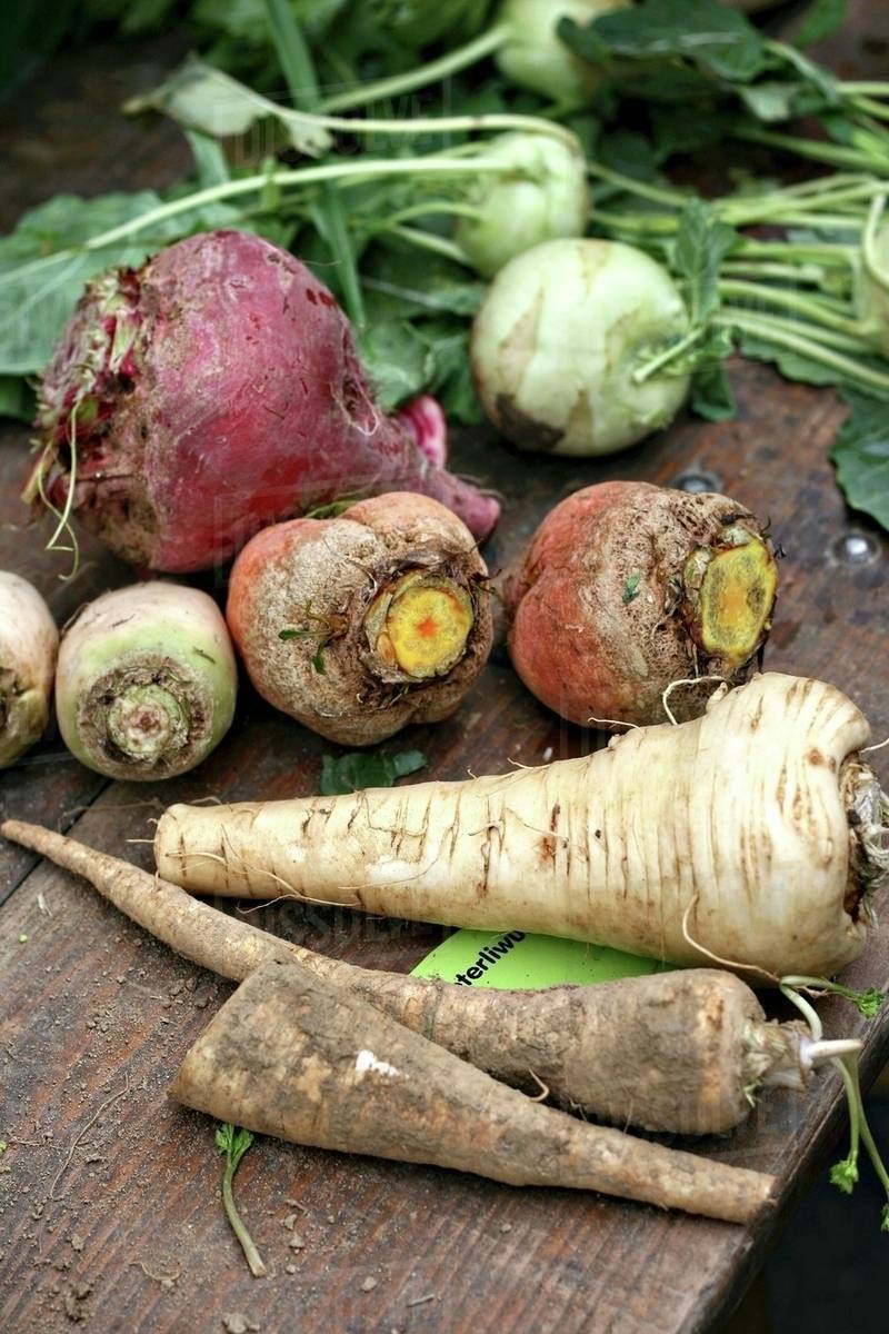 Various root vegetables and kohlrabi on a wooden table - Royalty-free ...