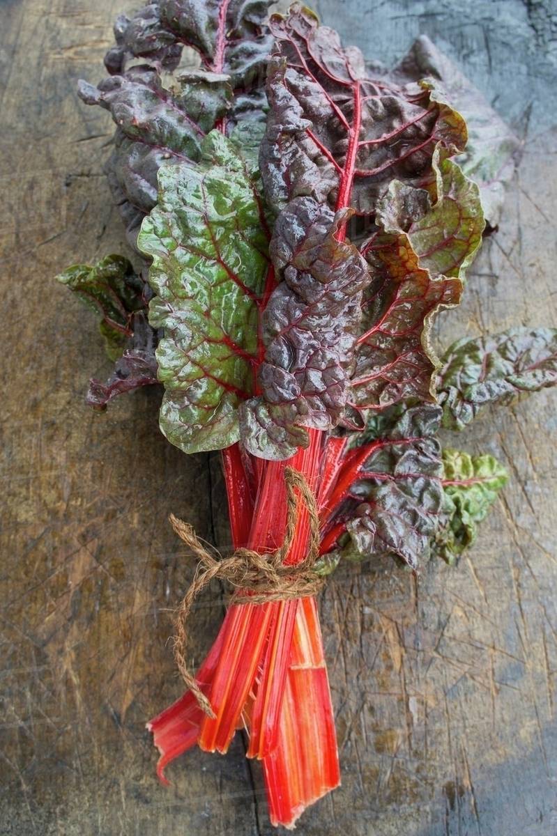A bunch of red chard - Stock Photo - Dissolve