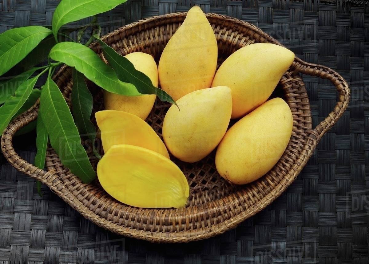 Yellow mangos in a basket - Royalty-free Stock Photo | Dissolve