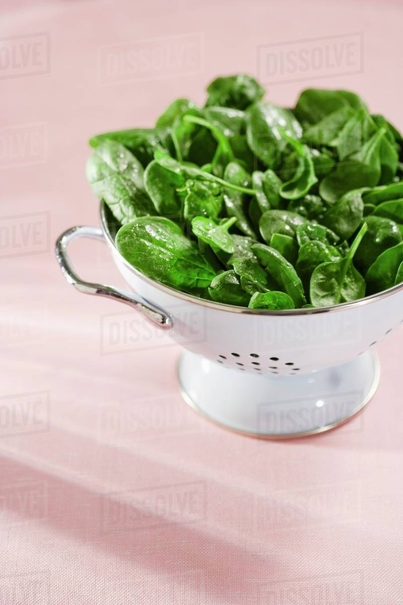 Freshly washed spinach in a colander - Royalty-free Stock Photo | Dissolve