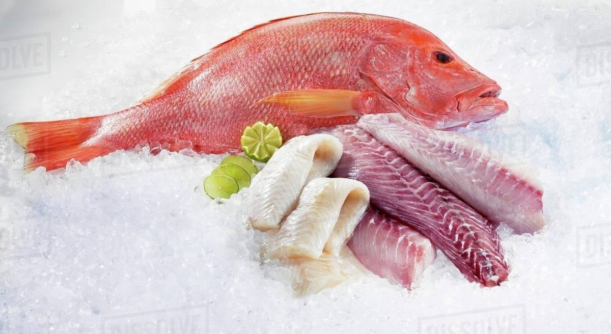 Whole Red Snapper, Parrot fish fillet and Kingklip fillet - Royalty ...