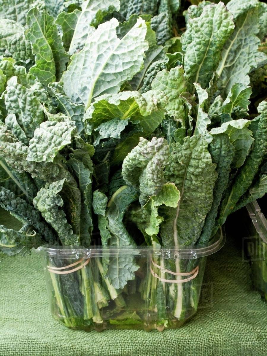 Bundles of kale at a market - Royalty-free Stock Photo | Dissolve