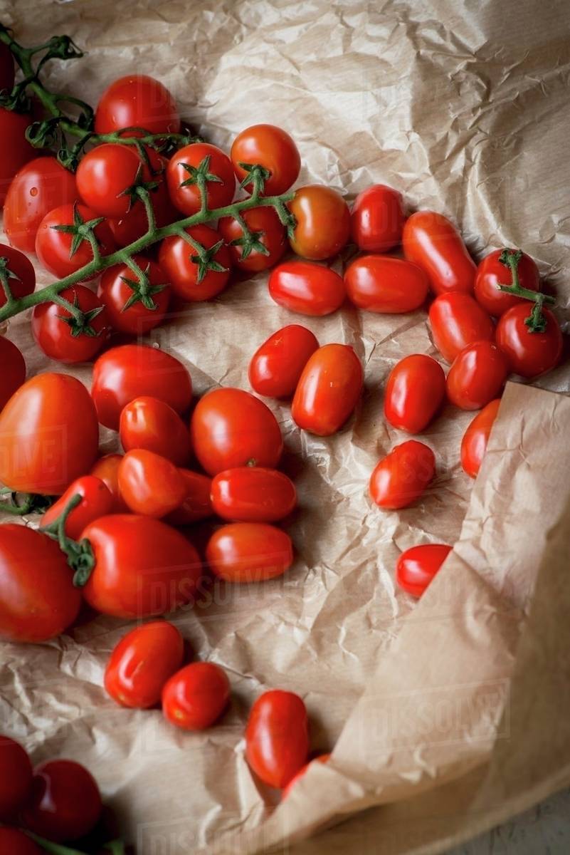 Tomatoes on parchment paper - Stock Photo - Dissolve
