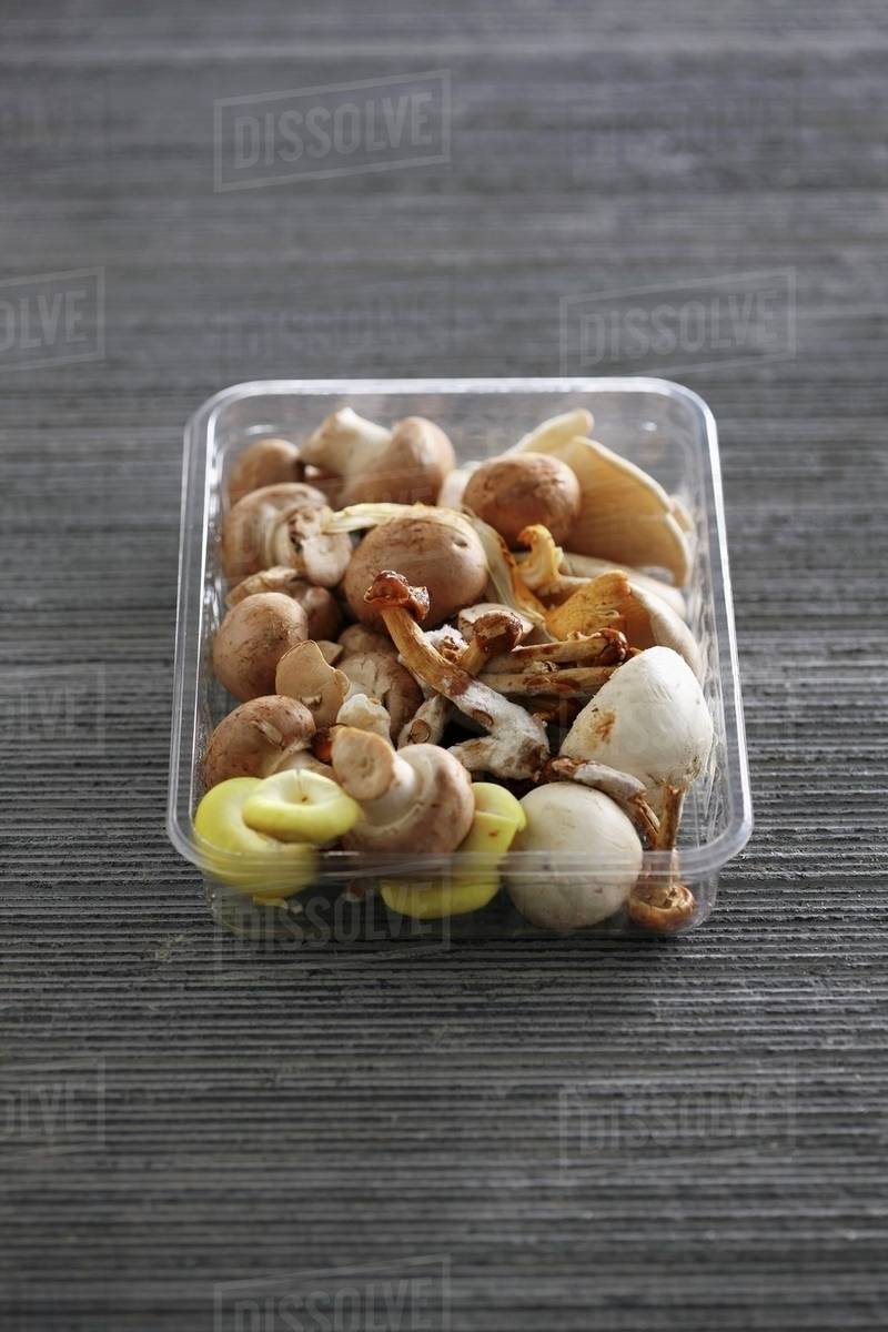 Various types of mushrooms in a plastic container - Stock Photo - Dissolve