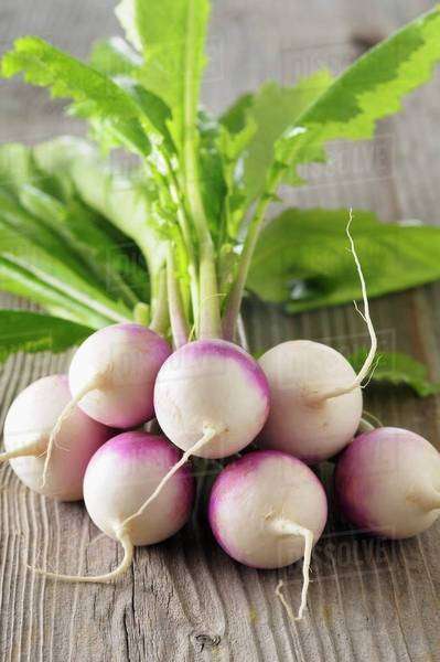 Bunch of turnips - Stock Photo - Dissolve