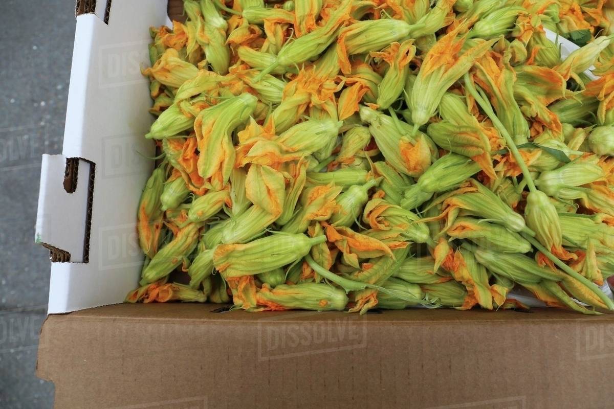 Pumpkin and courgette flowers in a box at a market - Royalty-free Stock ...