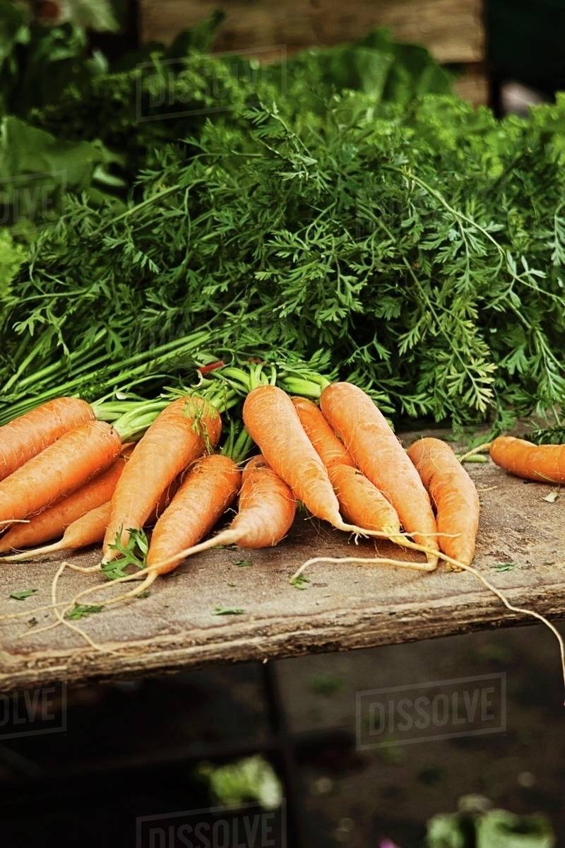 Bundles of fresh carrots at a market - Royalty-free Stock Photo | Dissolve