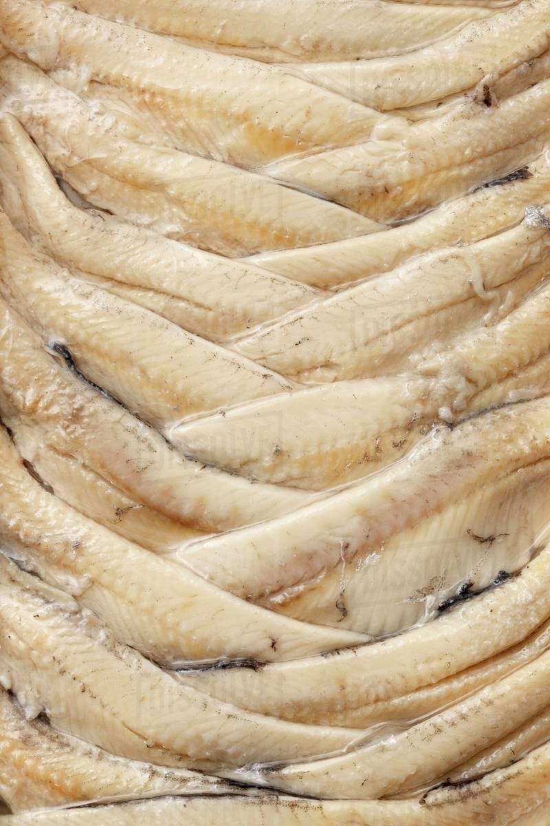 Anchovy fillets in oil (full frame) - Stock Photo - Dissolve