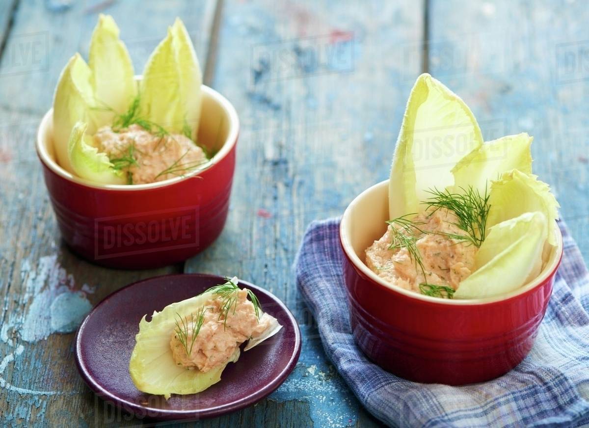 Salmon mousse with chicory and dill - Stock Photo - Dissolve