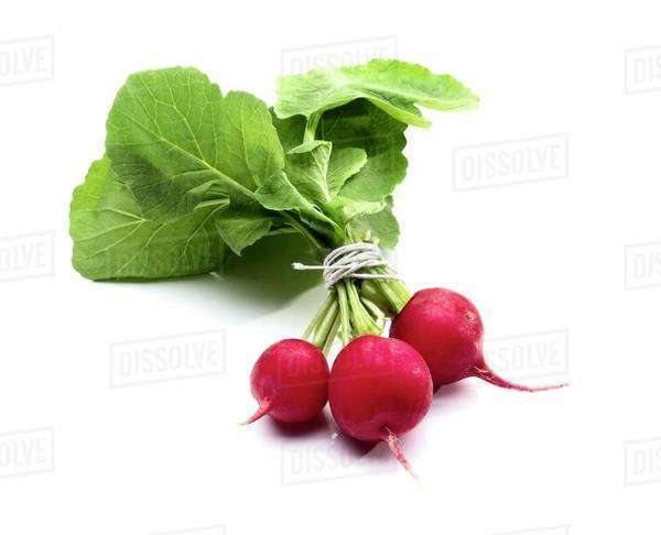 Three Fresh Red Radishes - Royalty-free Stock Photo | Dissolve