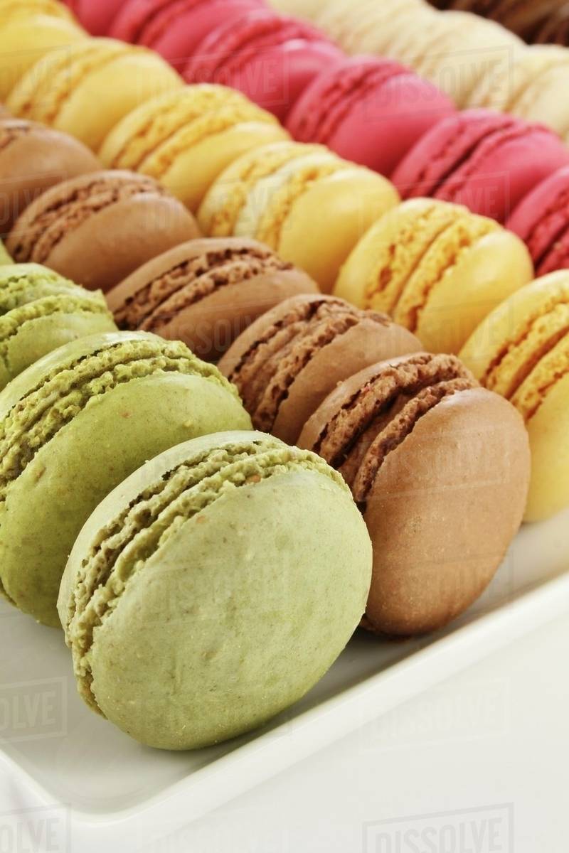 Rows of colorful macarons - Stock Photo - Dissolve