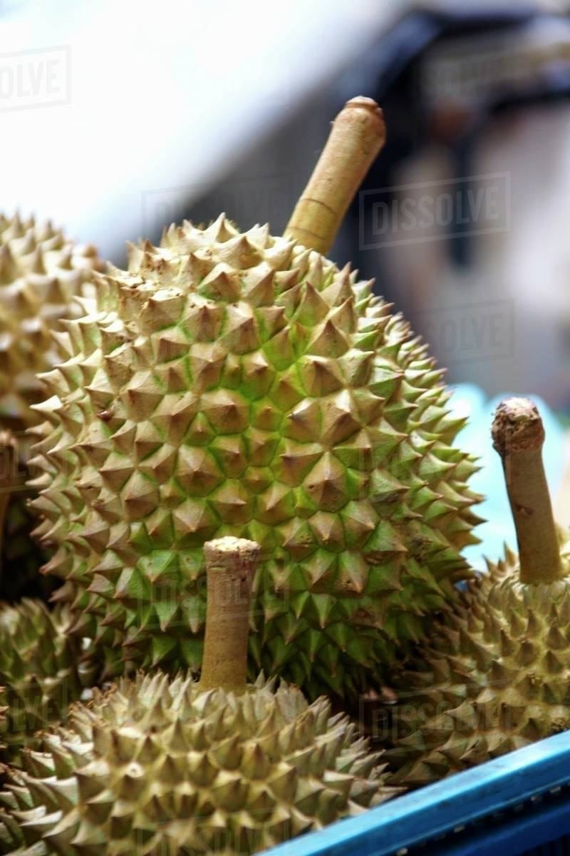 Durian fruit in a blue container - Royalty-free Stock Photo | Dissolve