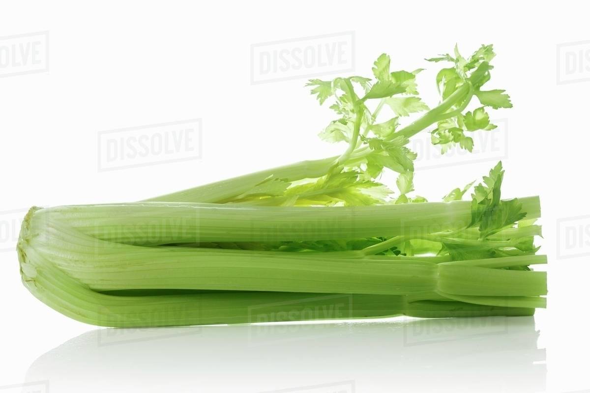 Fresh celery - Stock Photo - Dissolve
